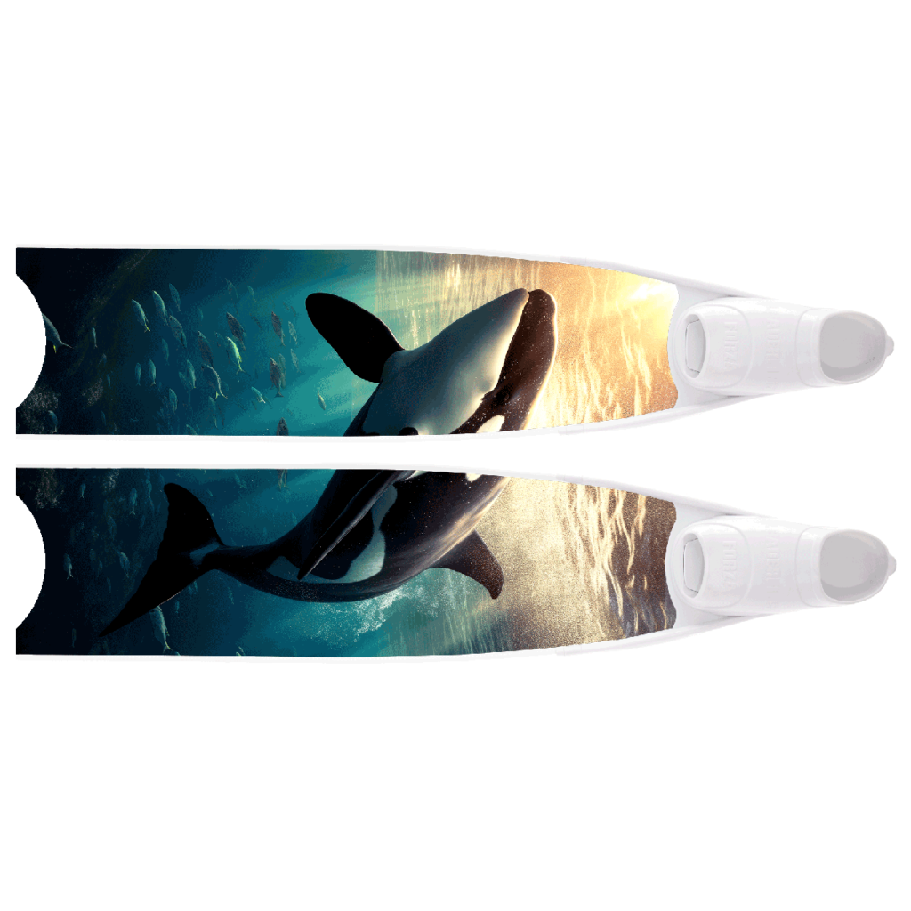 Leader Fins（リーダーフィン）-LIMITED EDITION | Lovely Oceans